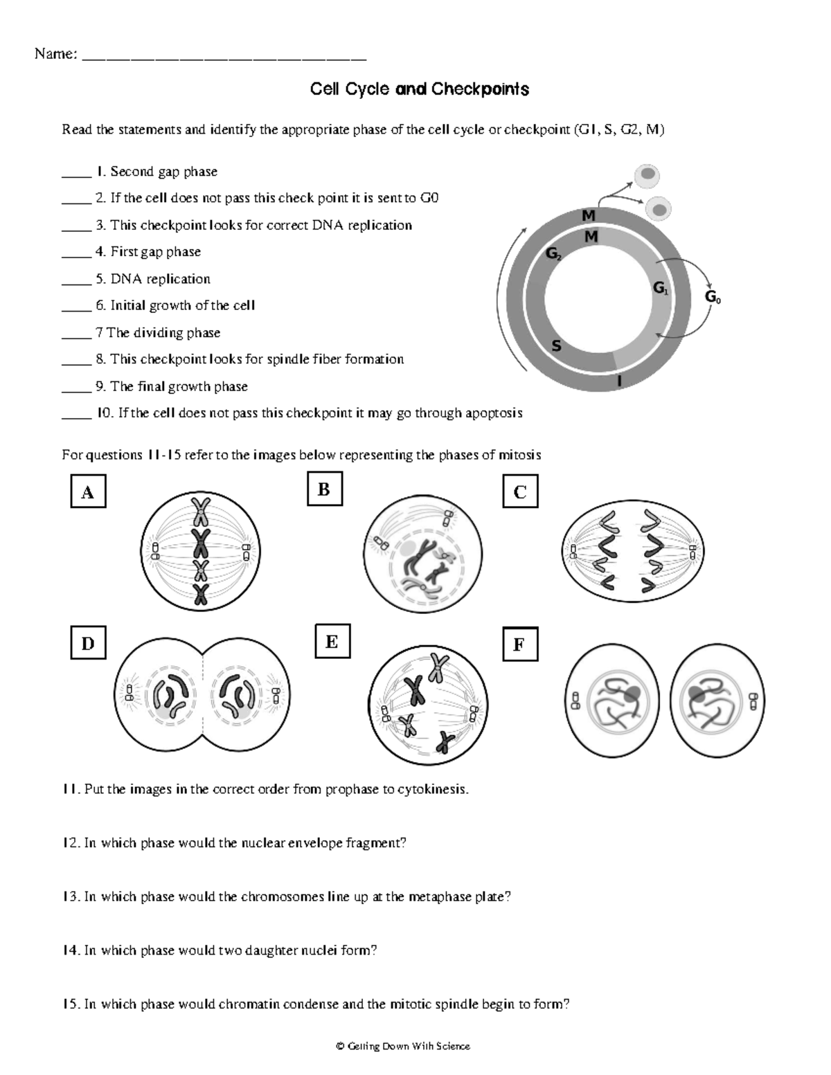 Cell Cycle and Checkpoints: Identifying Phases and Checkpoints - Studocu