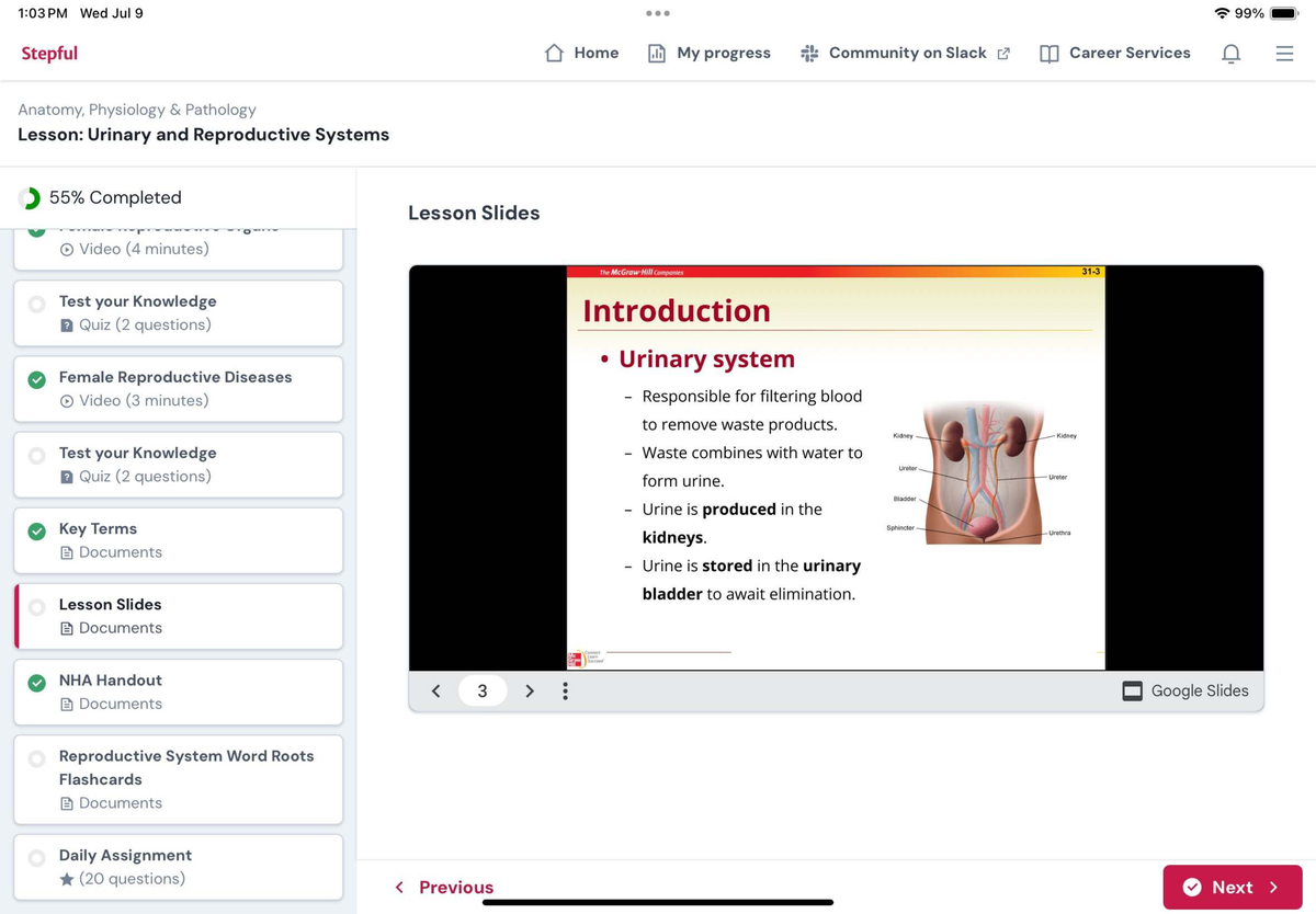 Anatomy, Physiology, Pathology Lesson: Urinary & Reproductive Systems ...