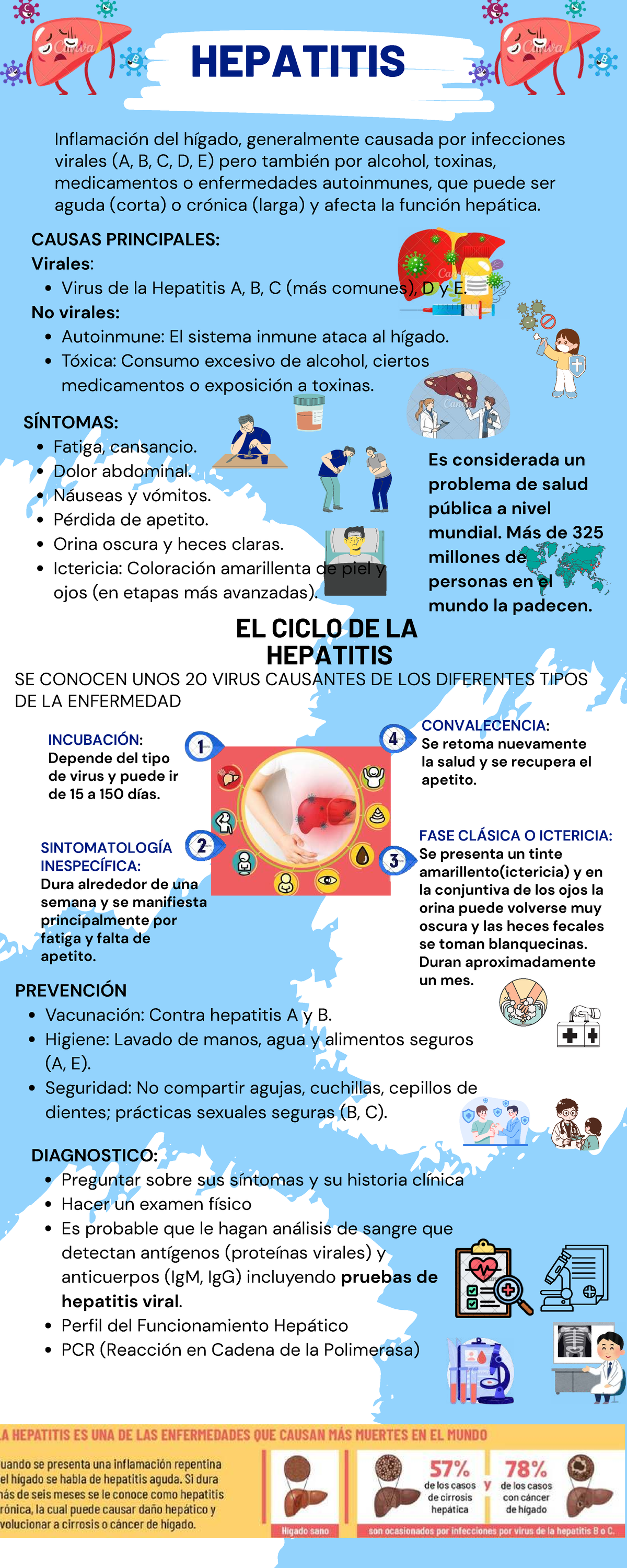 Infografía sobre Hepatitis: Causas, Síntomas y Prevención - Studocu