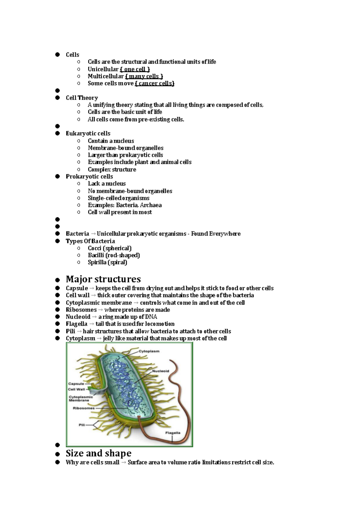 AOS 1 - Cells: Structure, Function, and Types Explained - Studocu
