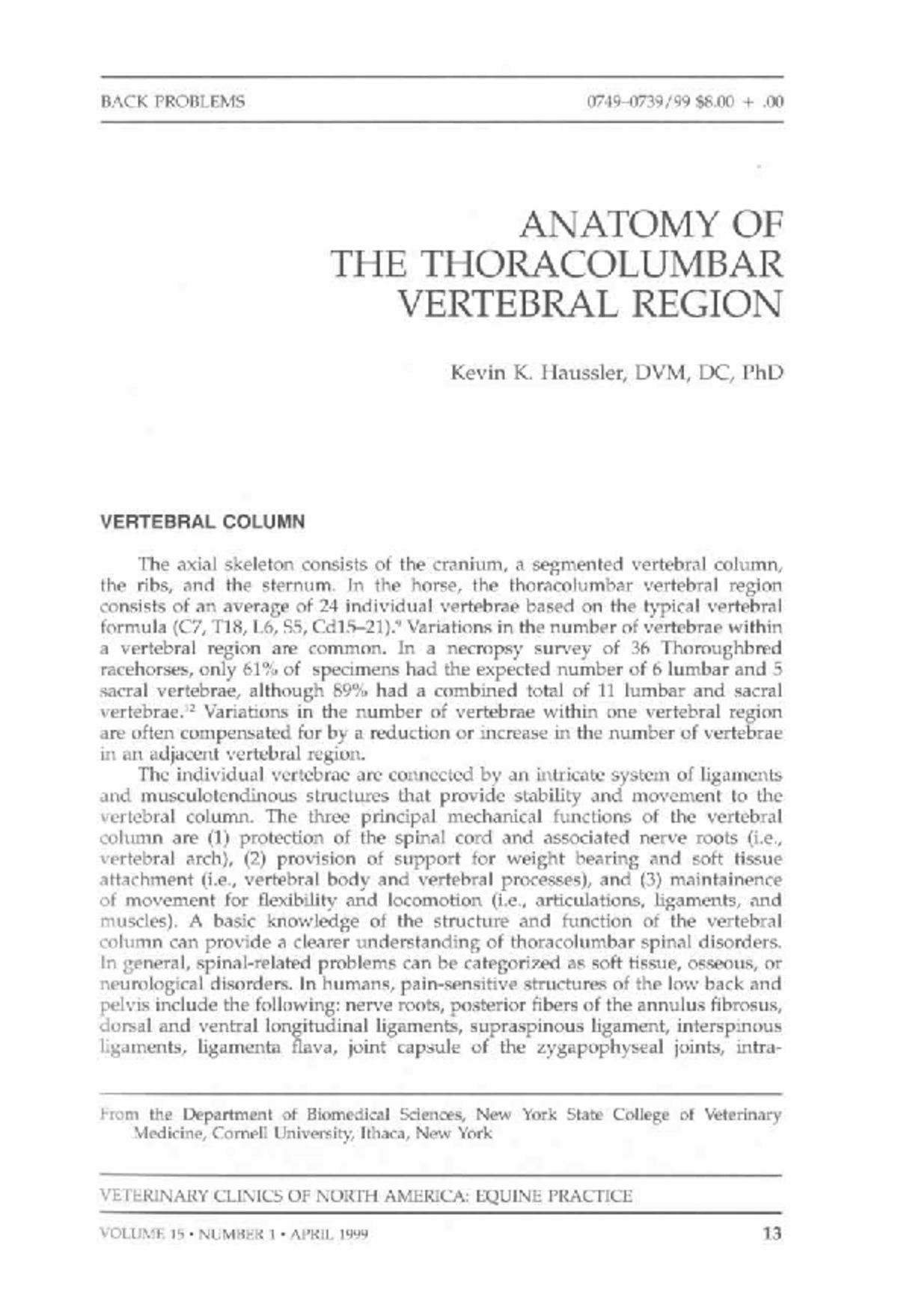 Anatomy of the Thoracolumbar Vertebral Region: Key Insights and ...