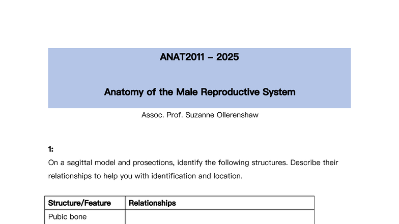 ANAT2011 2025 Updated Practical Notes on Male Reproductive System - Studocu