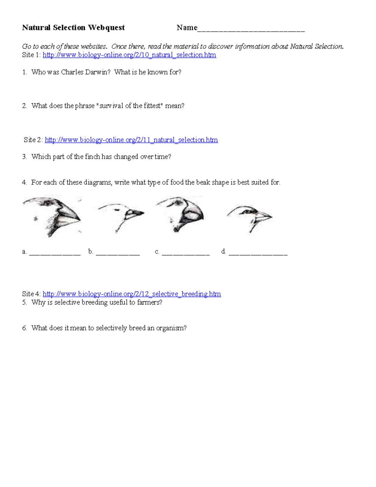 Natural selection webquest assignments - Natural Selection Webquest ...
