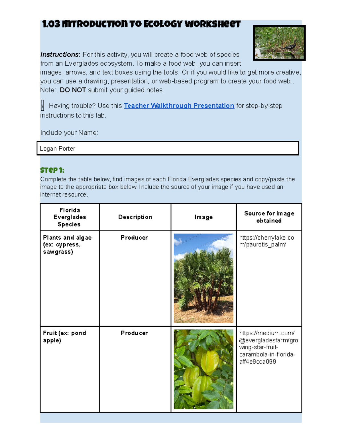 Copy of Copy of 1.03 Introduction to Ecology Lab Report - 1 ...