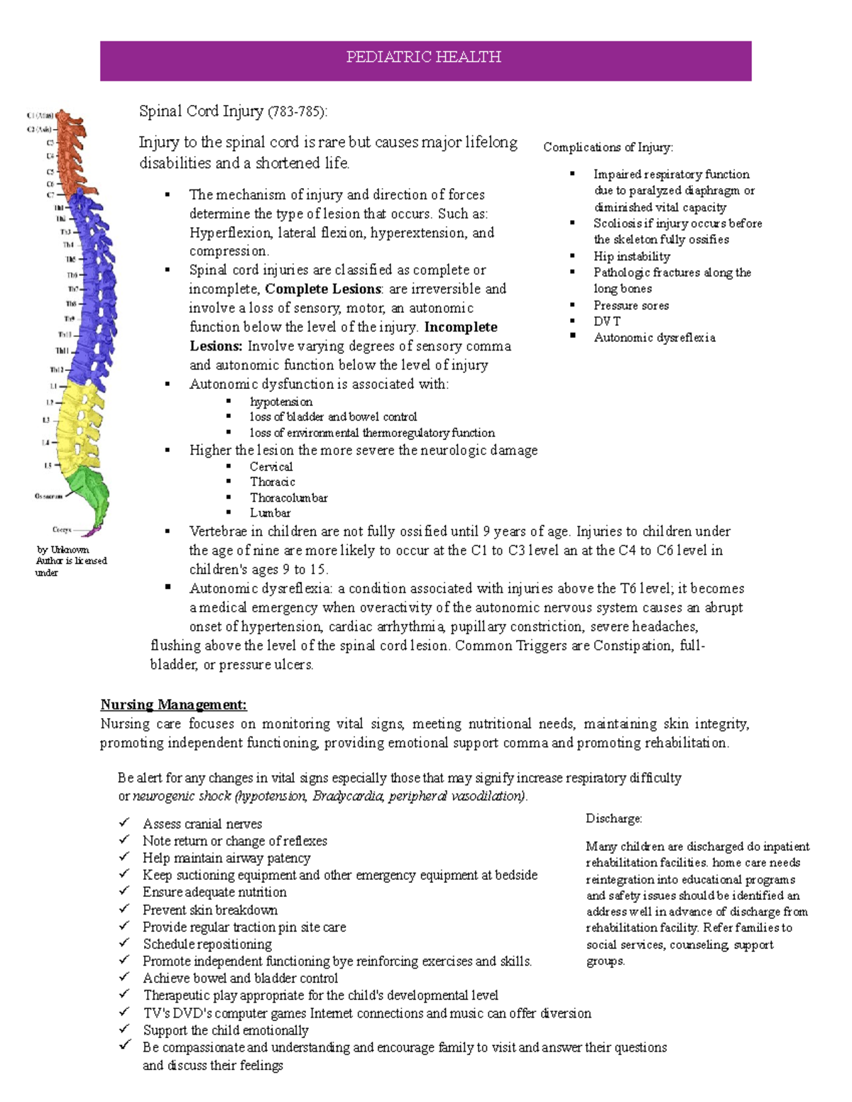 Spinal Cord Injury Levels And Function Chart