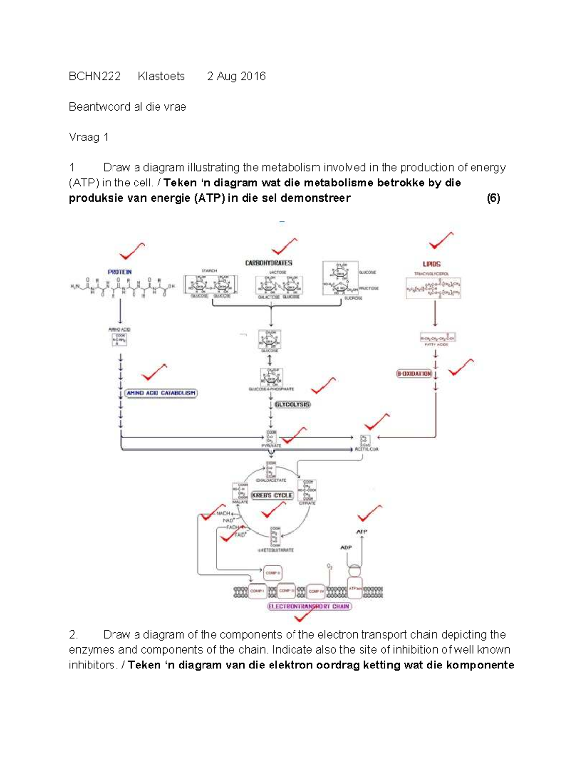 2016 BCHN222 Classtest 02Aug Memo - BCHN222 Klastoets 2 Aug 2016 ...