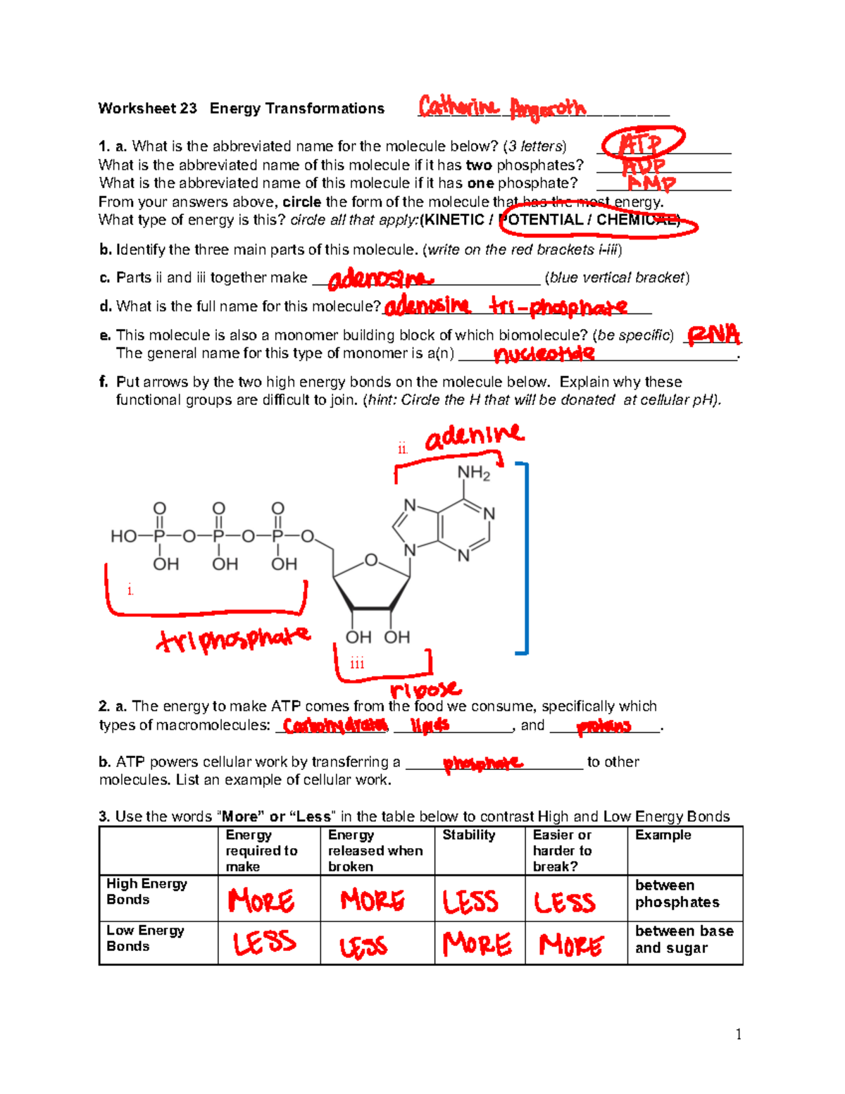 Worksheet 23 - Worksheet 2 3 Energy Transformations ...