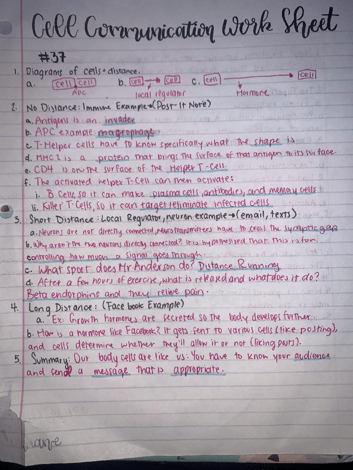 Cell Communication Worksheet - Studocu