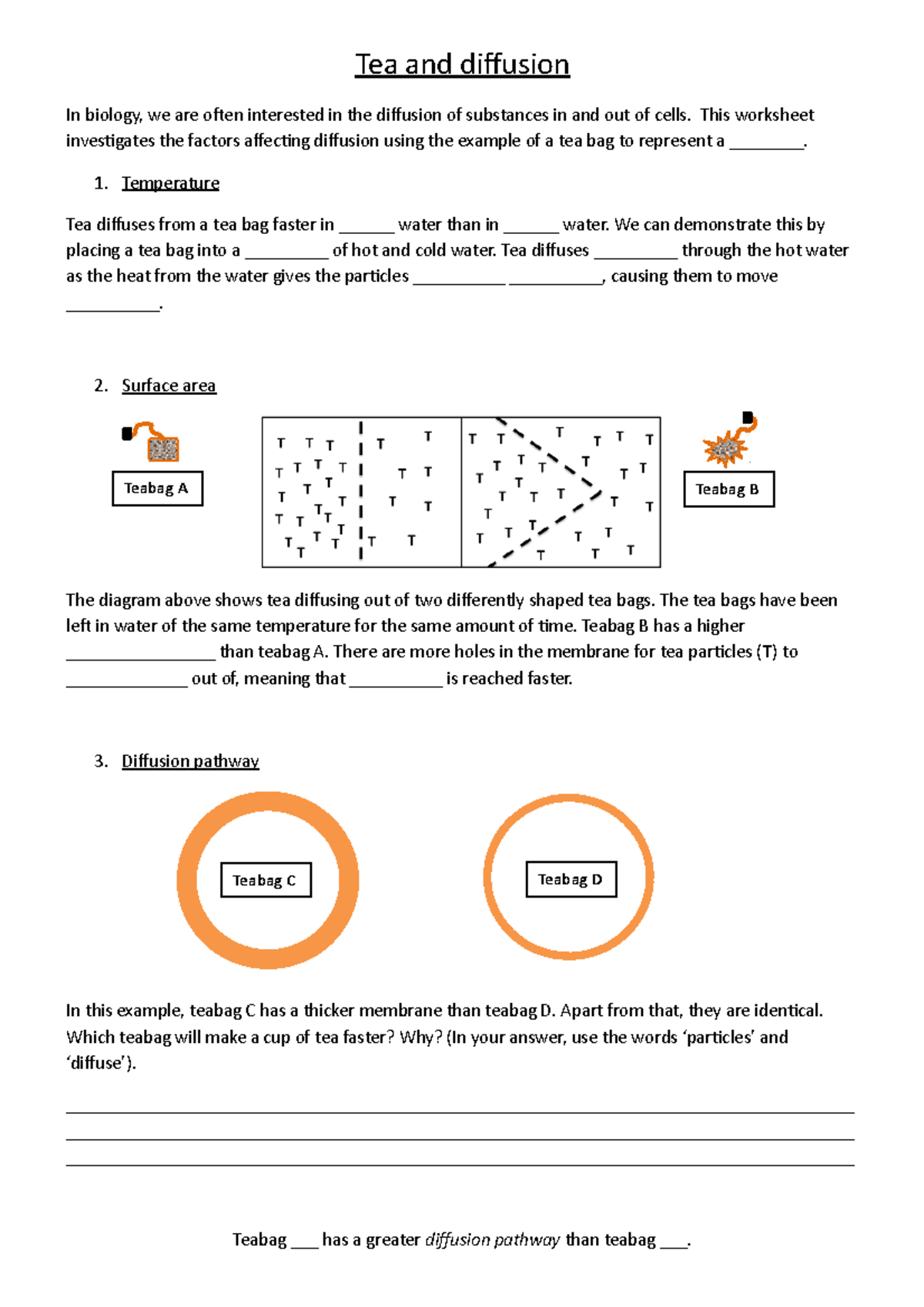 Comparing Diffusion in Cells and Tea Brewing: Worksheet Analysis - Studocu