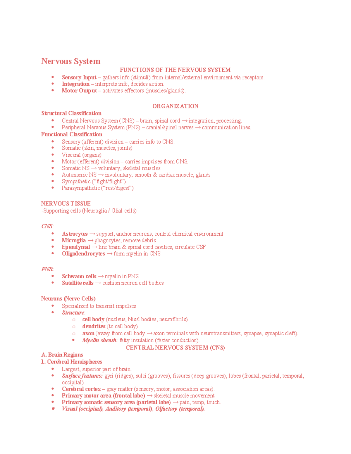 NUR 101: Nervous System Functions and Structure Notes - Studocu