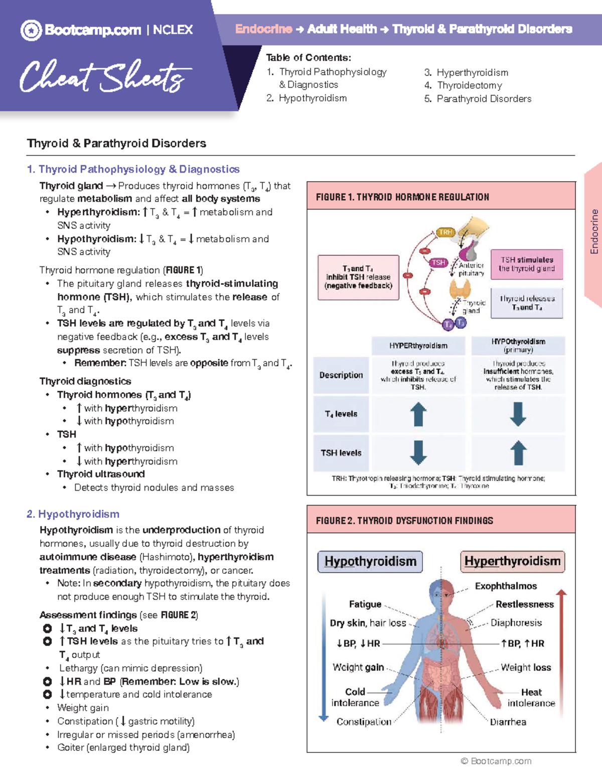 Thyroid & Parathyroid Disorders Cheat Sheet: Key Concepts & Care - Studocu