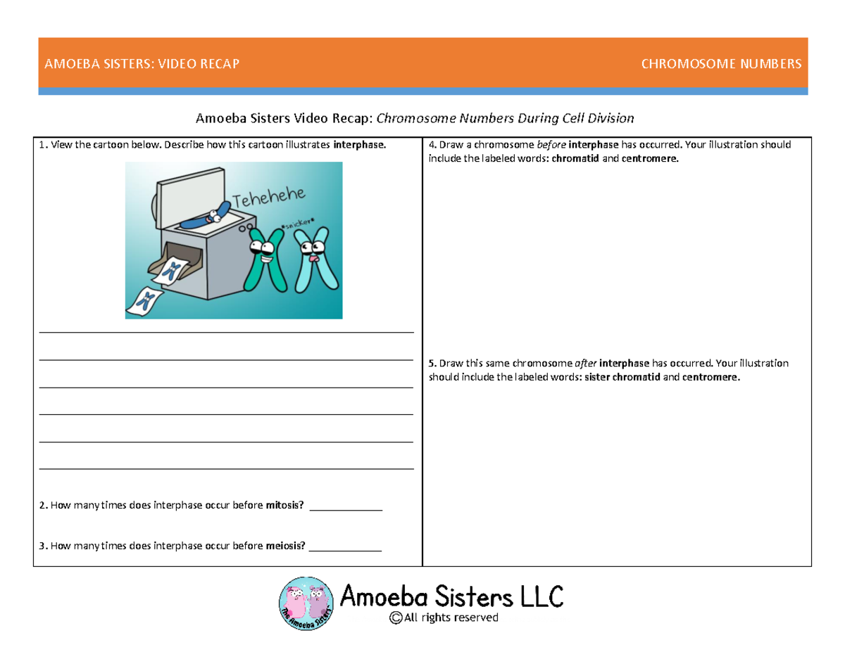 Video recap of chromosome numbers by amoeba sisters 2 - AMOEBA SISTERS ...