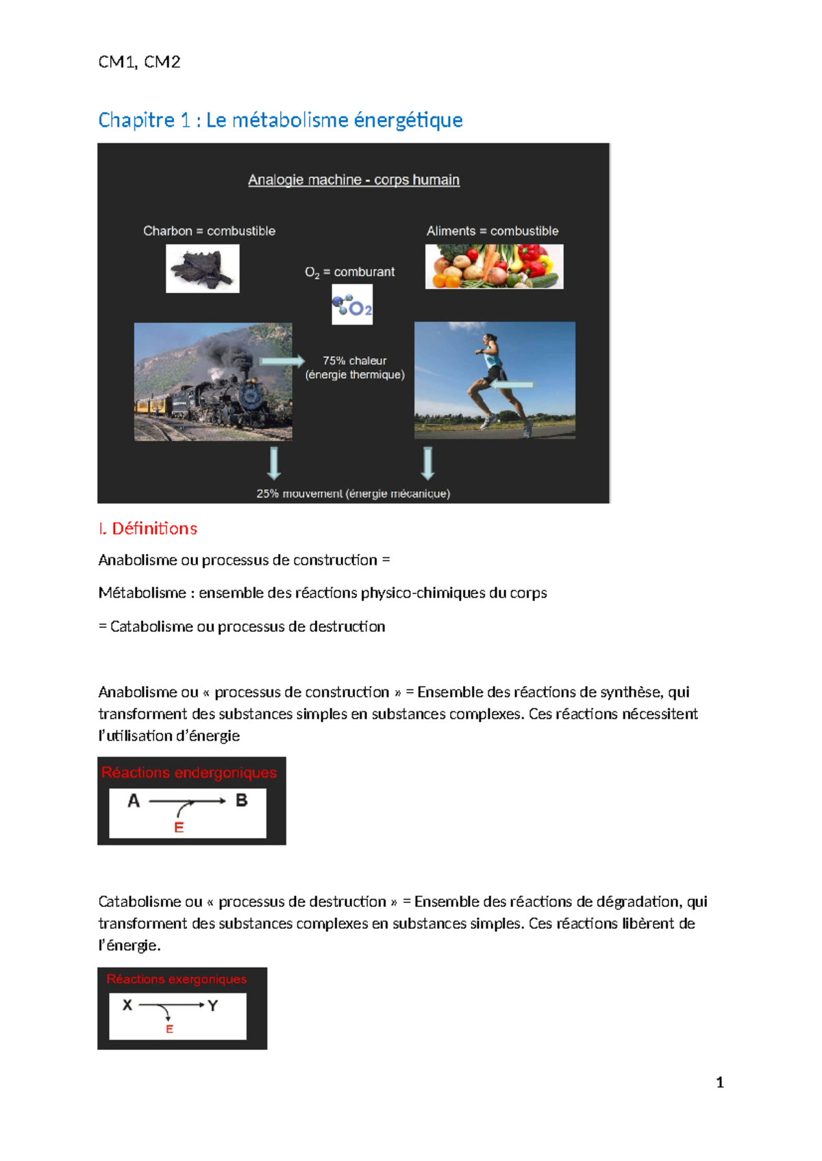 CM1, CM2 Notes sur le Métabolisme Énergétique : Concepts Clés et Rôles ...