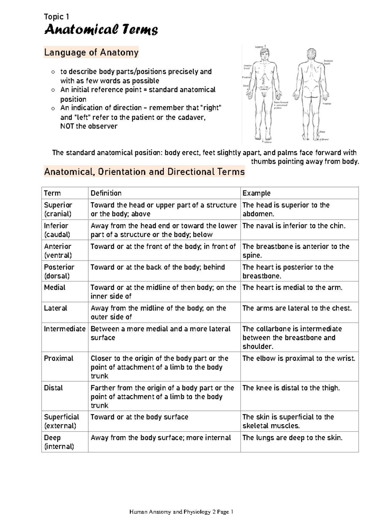 Anatomical Terms Overview - Lecture Notes for ANAT 101 - Studocu
