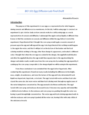 IT 140 Pseudocode Revisited - SNHU Alexandria Flowers 7/28/ IT ...