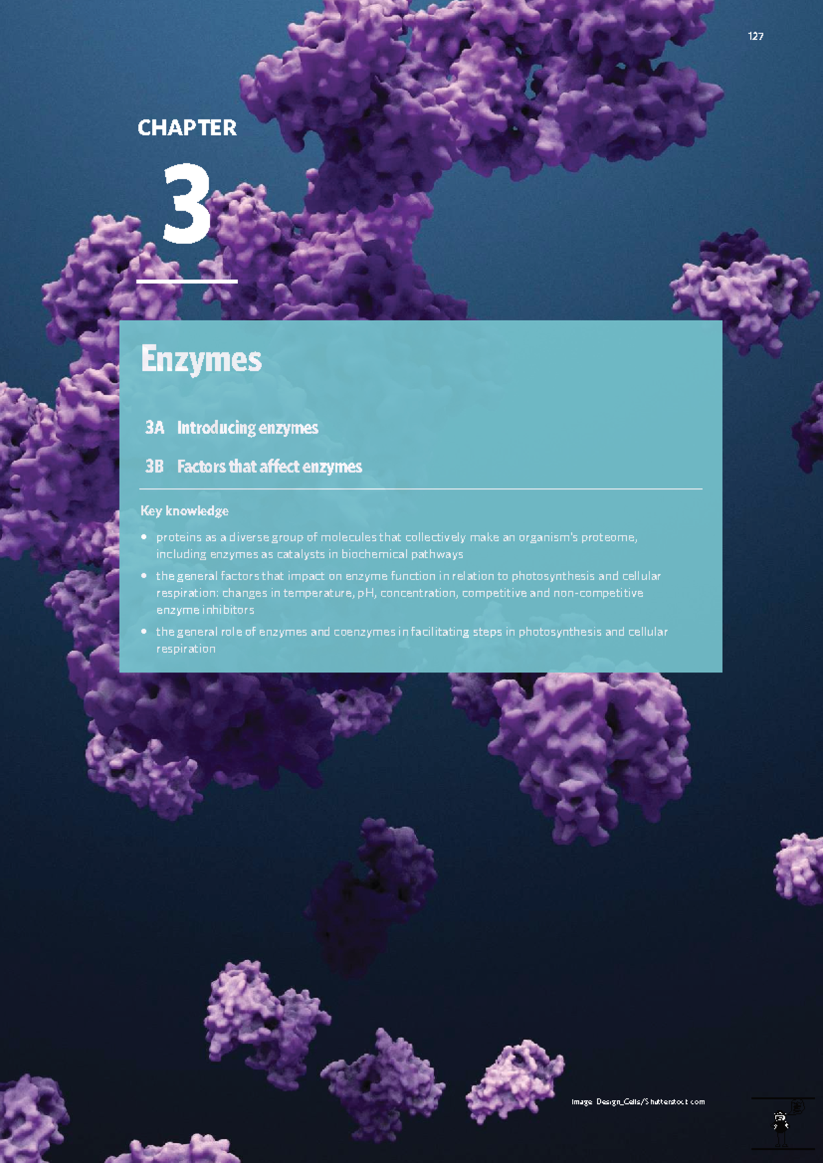 VCE Biology Units 34: Chapter 3 - Enzymes and Their Functions - Studocu
