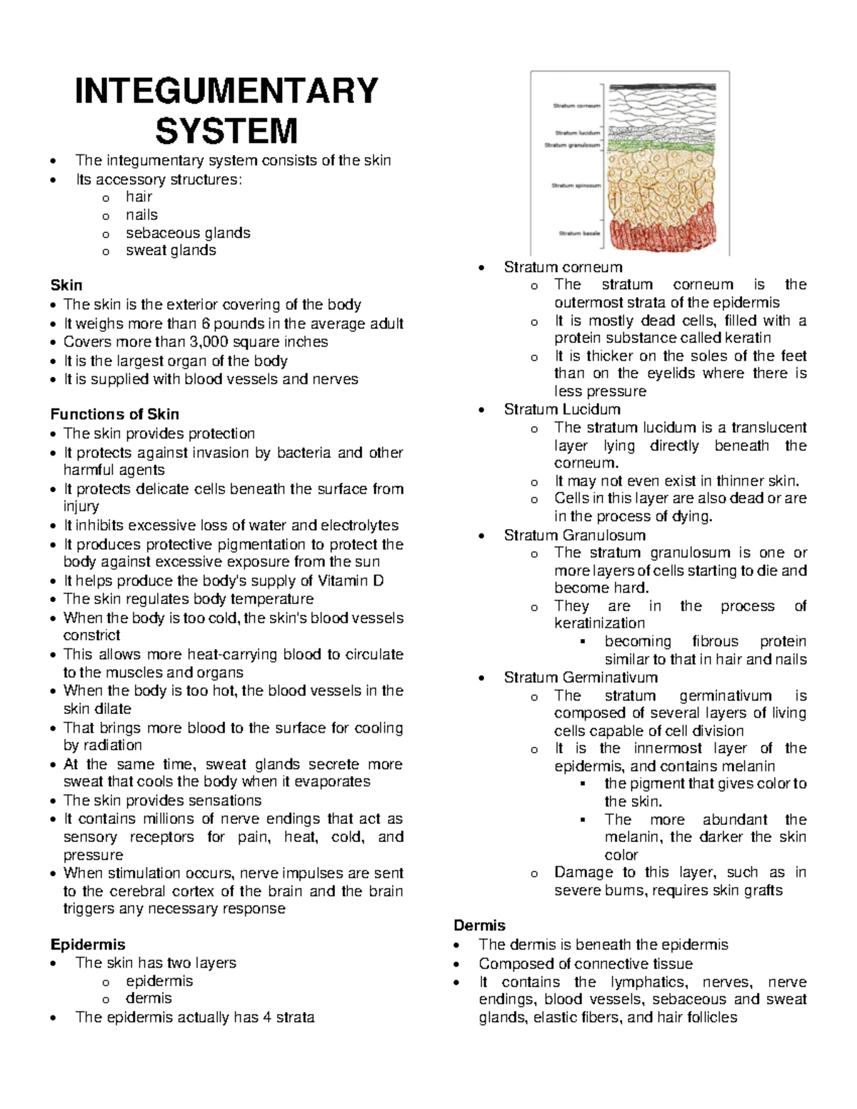INTEG 101: Overview of the Integumentary System and Its Functions - Studocu