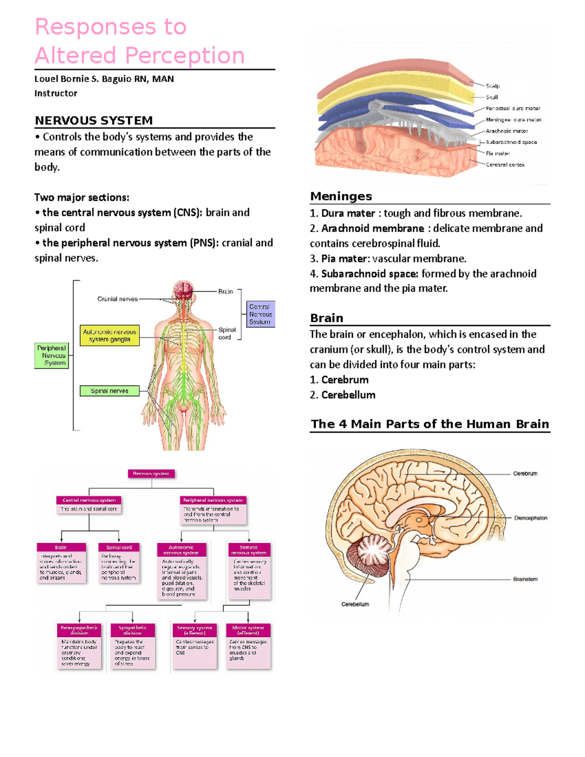 NRS 101: Responses to Altered Perception and Neurologic Alterations ...
