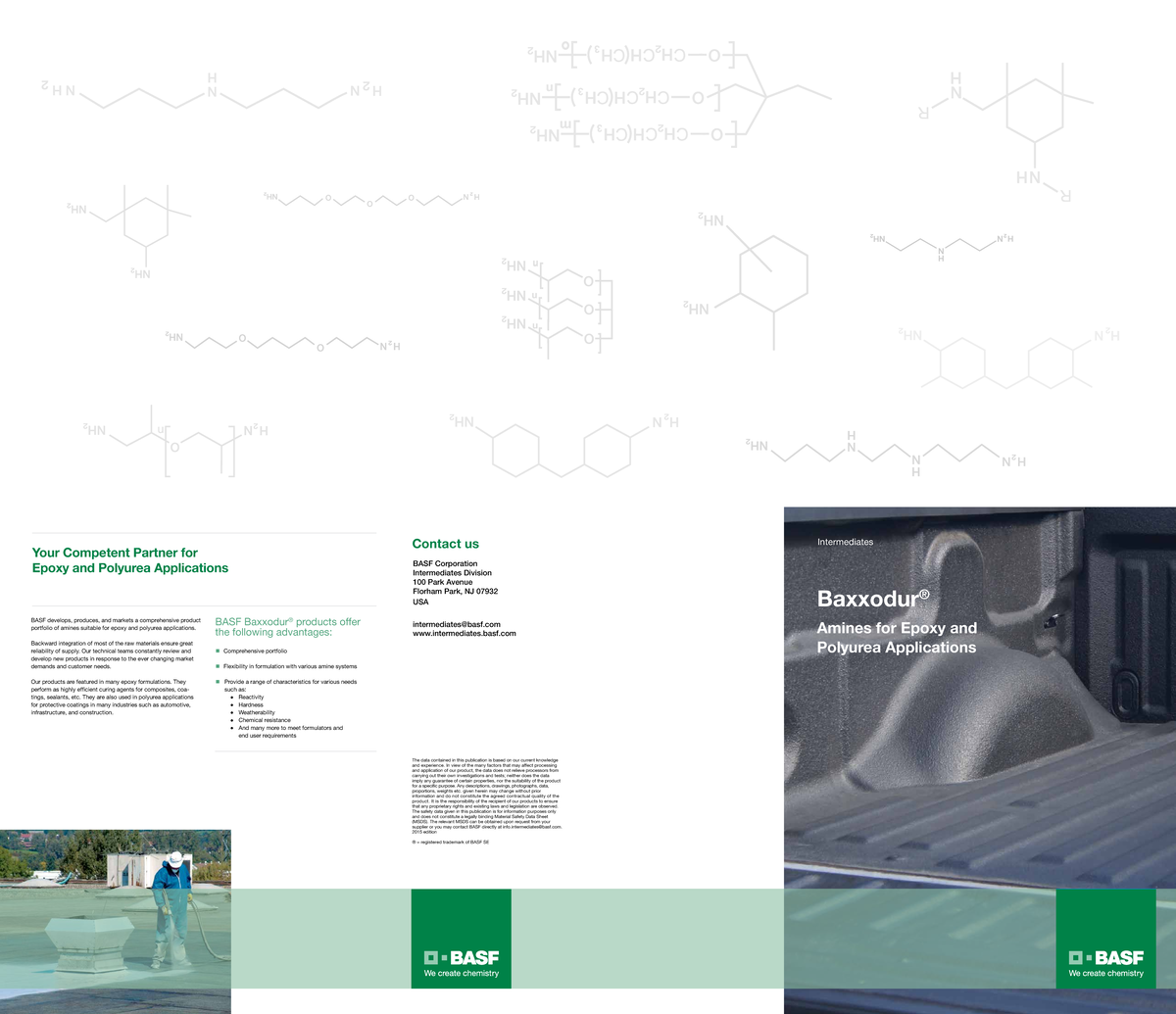 BASF Intermediates: Amines for Epoxy & Polyurea Applications Guide ...