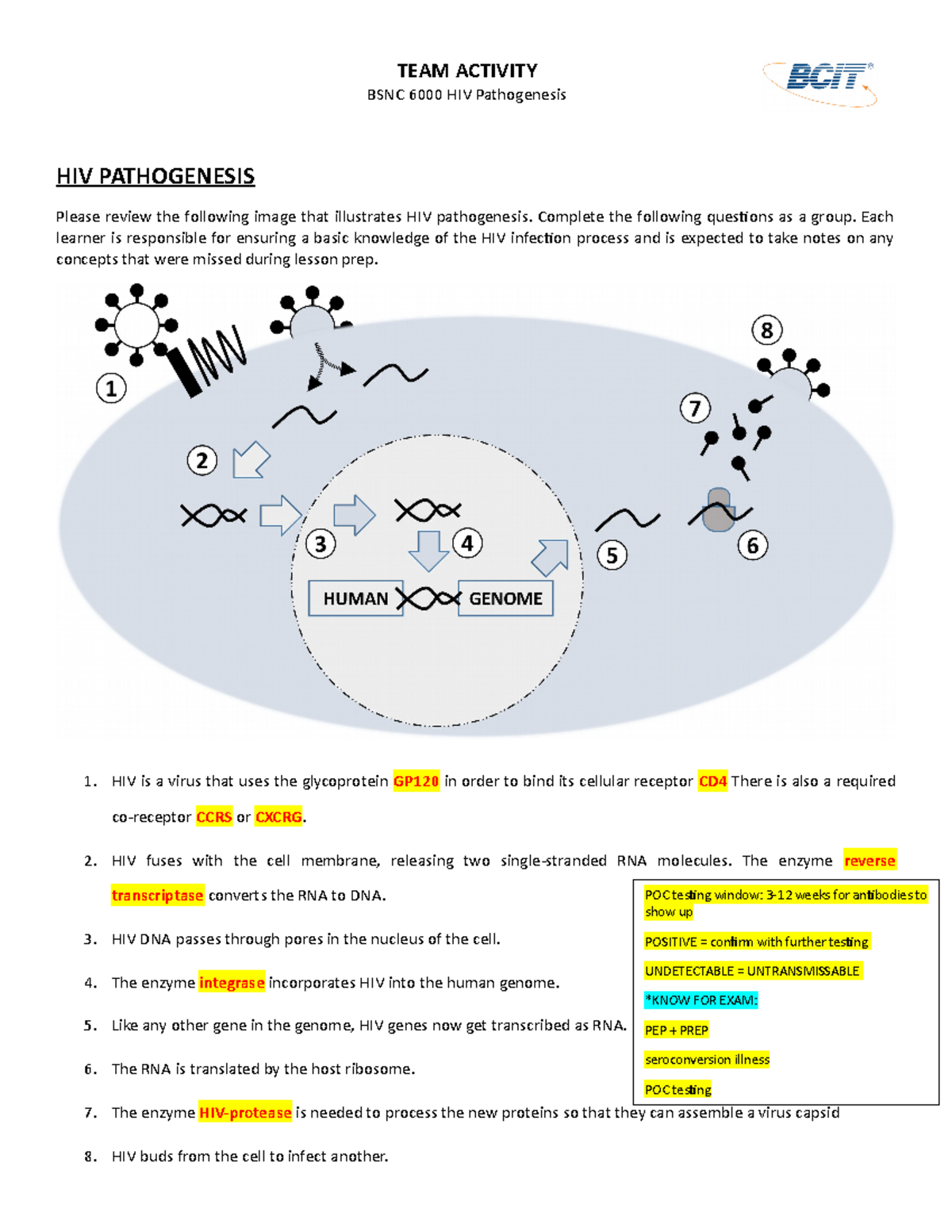 Mod 8 Worksheet - TEAM ACTIVITY BSNC 6000 HIV Pathogenesis HIV ...