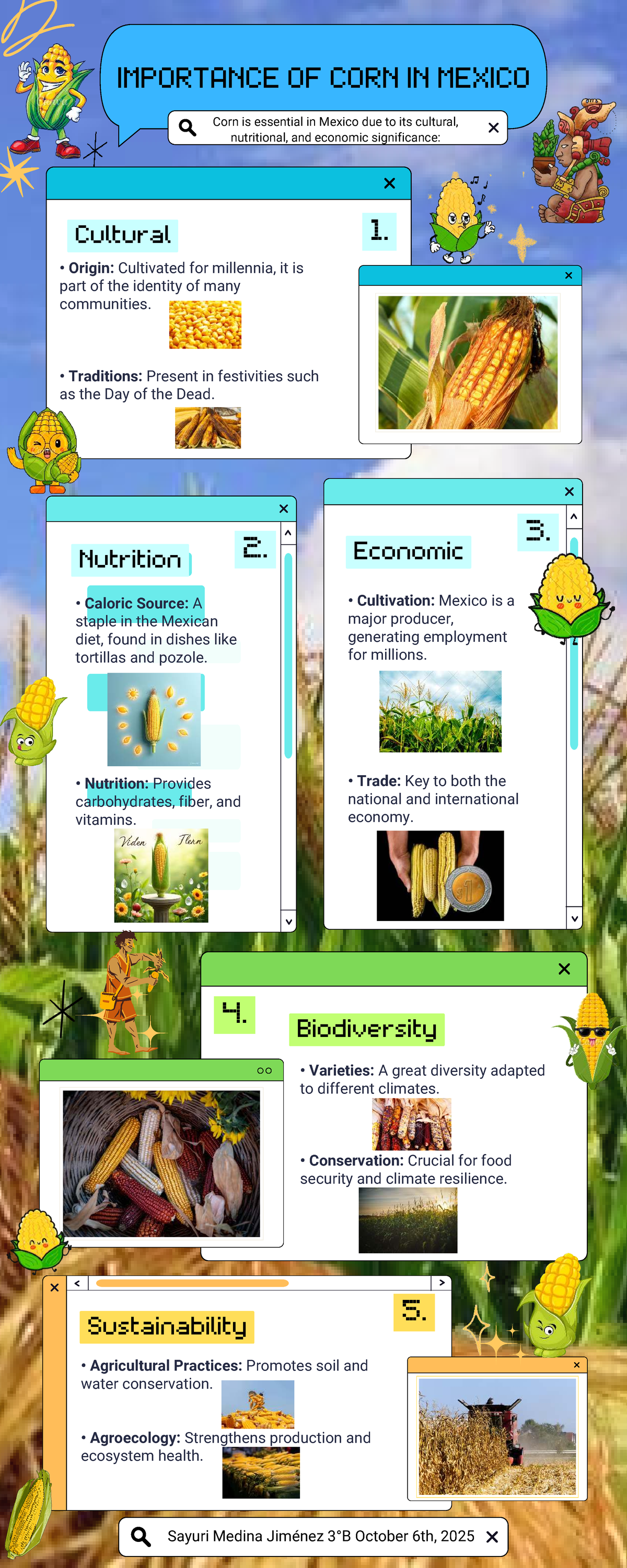 IMPORTANCE OF CORN IN MEXICO: Cultural, Nutritional & Economic ...