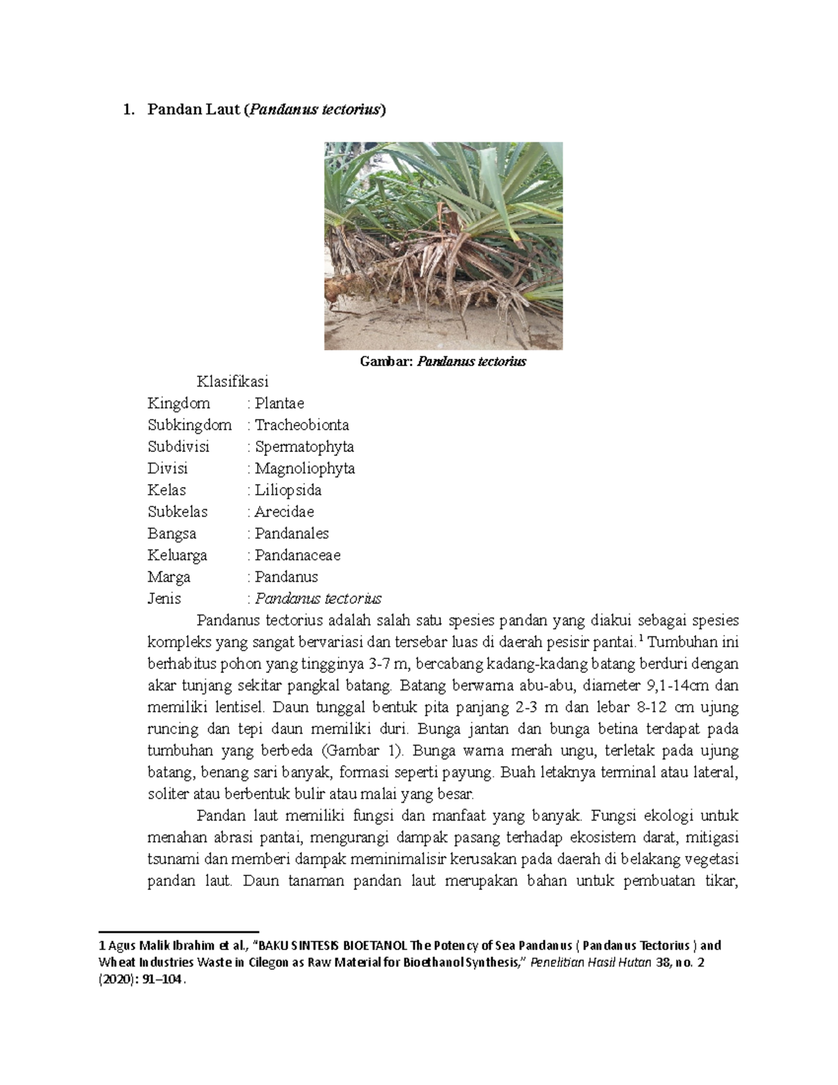 Tumbuhan Pantai: Pandan Laut (Pandanus tectorius) & Pohon Butun ...