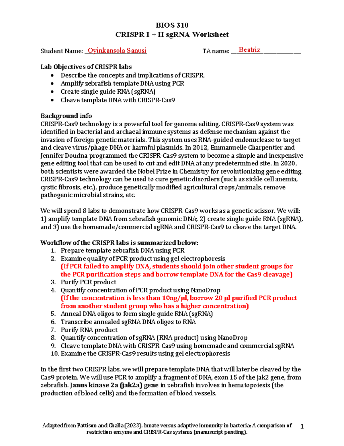 BIOS 310 CRISPR I & II sgRNA Lab Worksheet - Studocu