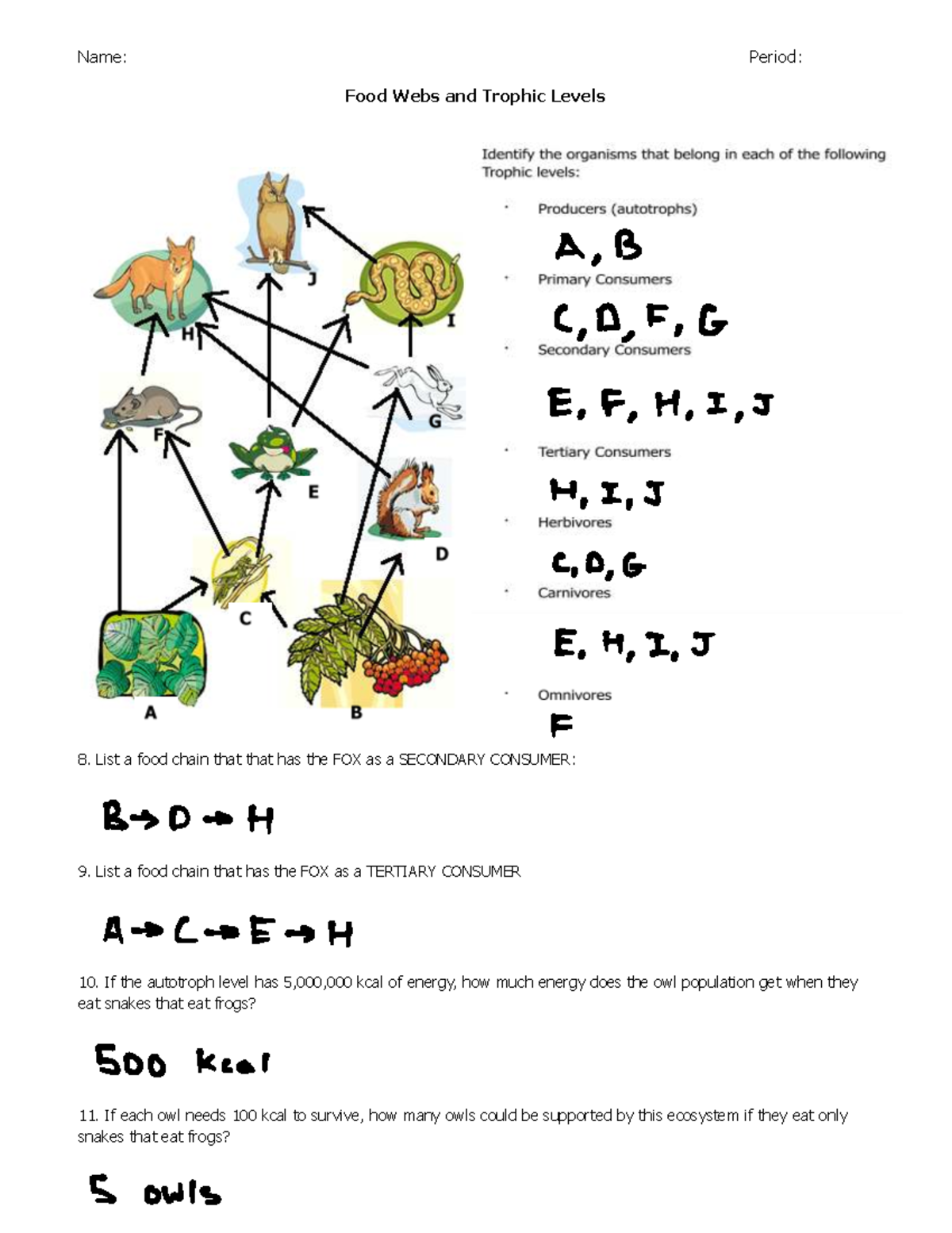 Food Webs & Trophic Levels: Eco WS - Science 8 Notes - Studocu