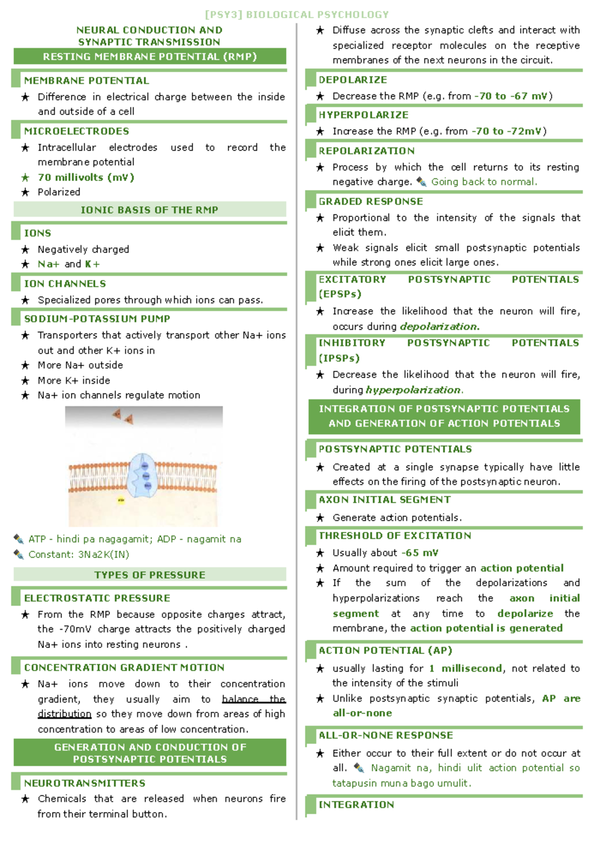 [PSY3] Biological Psychology: Neural Conduction & Synaptic Transmission ...