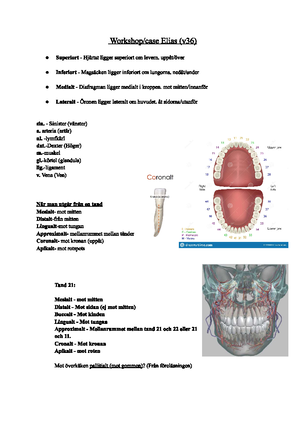 Instuderingsfragor - Odontologi 1 - Kariologi: 1. Kariessjukdom- Vad är ...