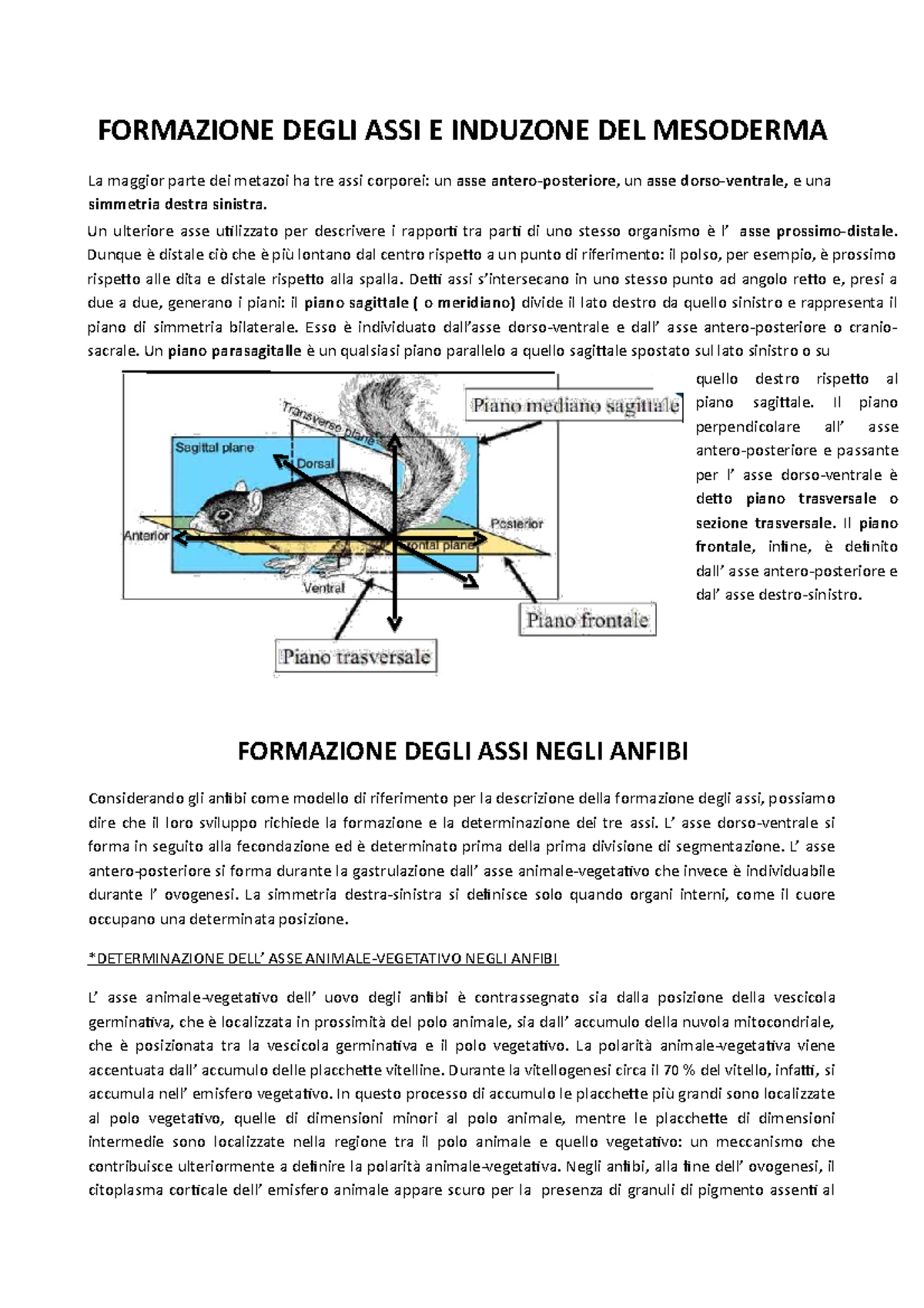 Formazione e Induzione degli Assi Corporei negli Anfibi: Analisi ...