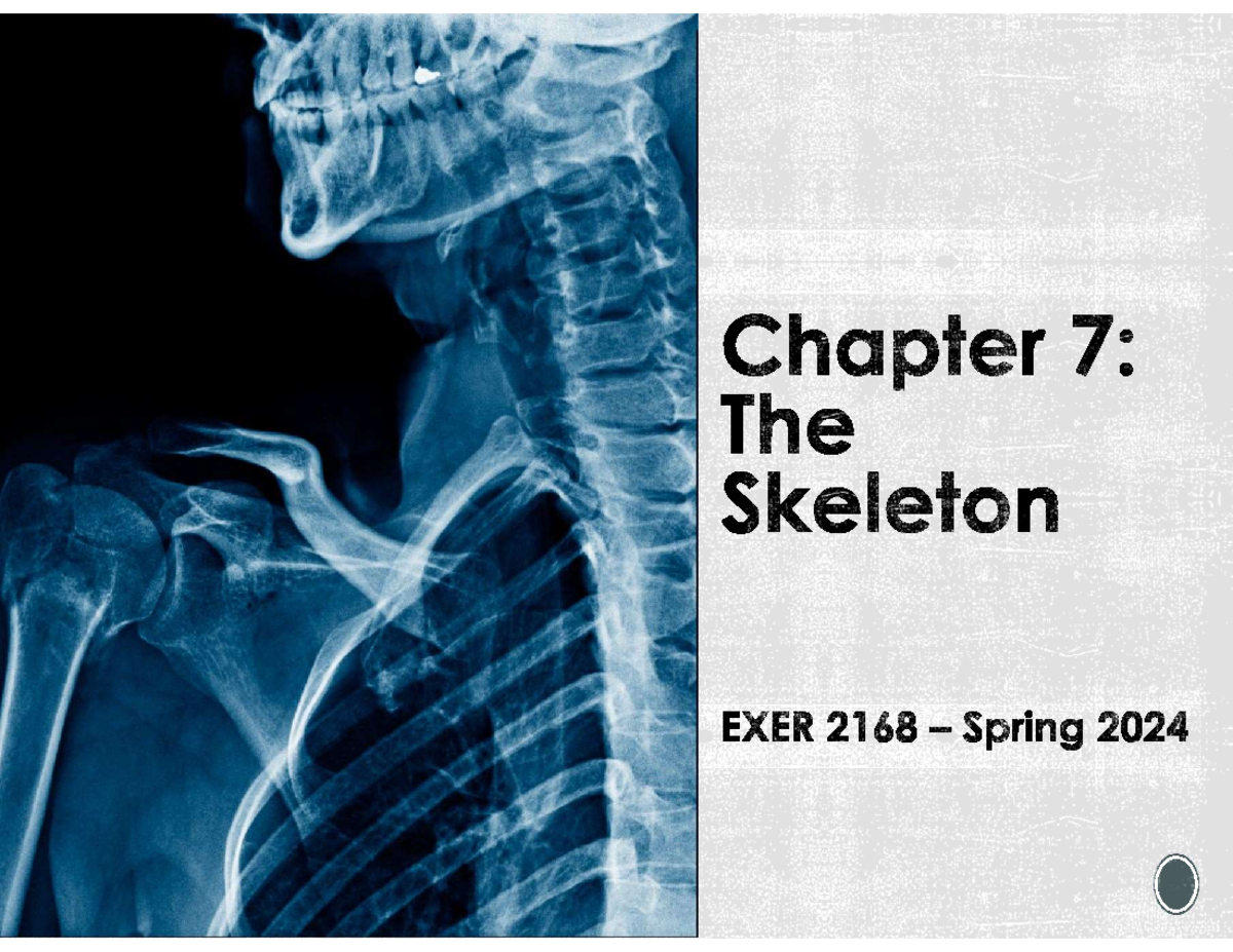 Chapter 7: The Axial Skeleton - Exam Review Notes (Exer 2168) - Studocu