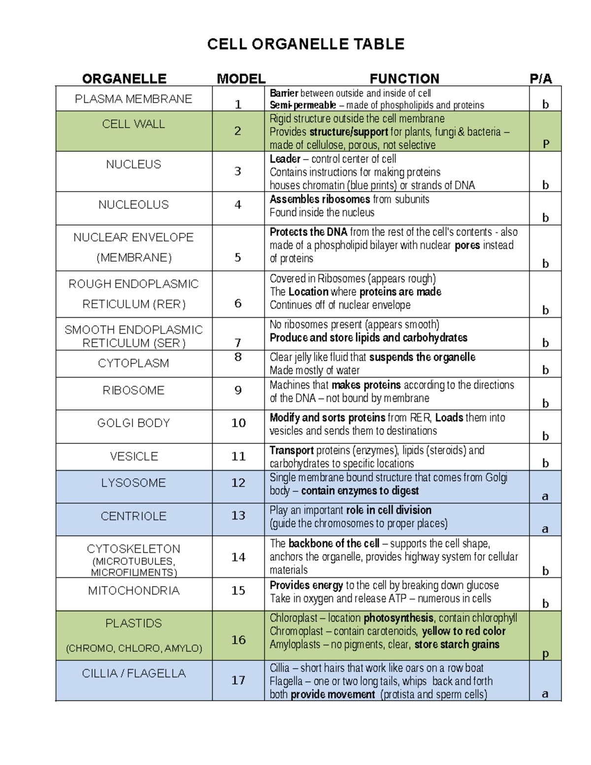 CELL ORGANELLE STRUCTURE & FUNCTION: ANIMAL & PLANT CELLS - Studocu