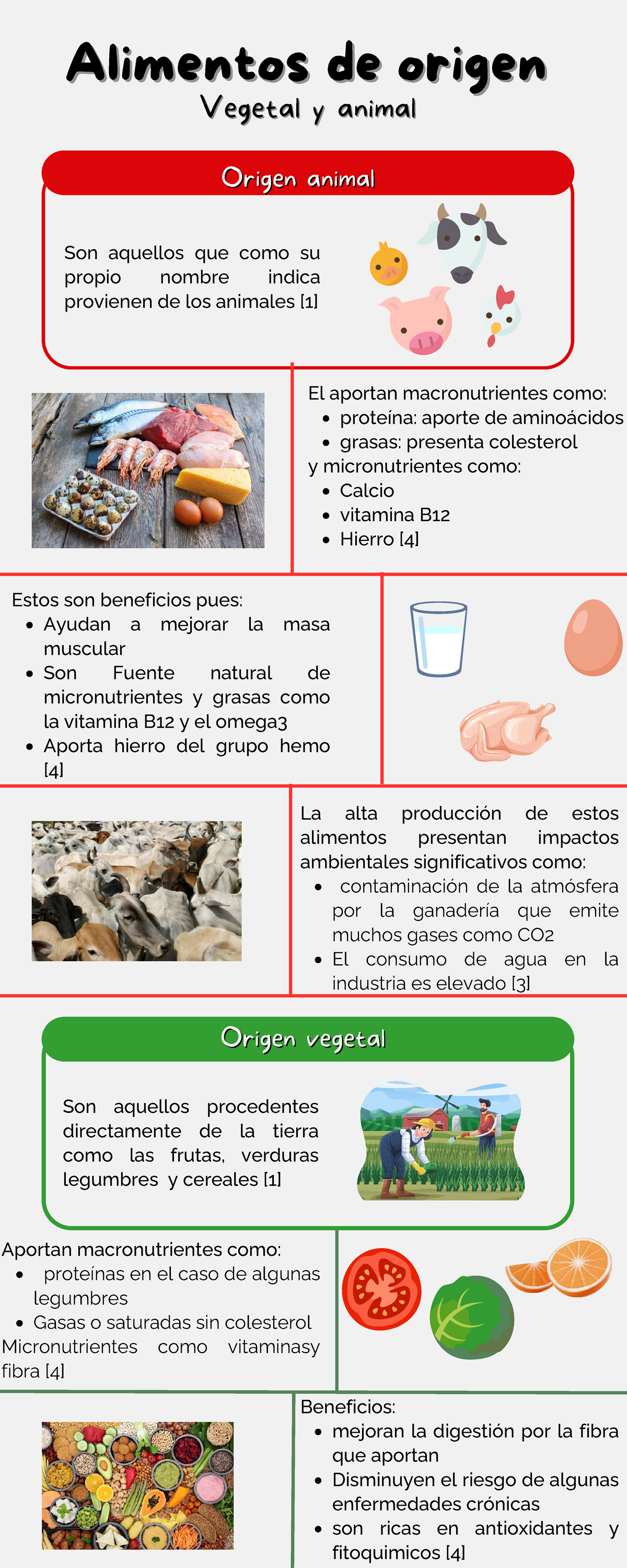 Alimentos de Origen Animal y Vegetal: Beneficios y Impactos - Studocu