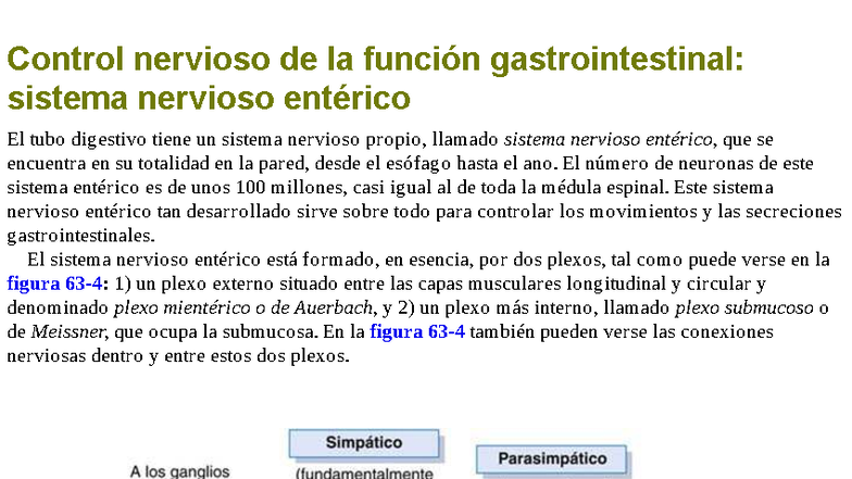 Control Nervioso de la Función Gastrointestinal: Sistema Nervioso ...