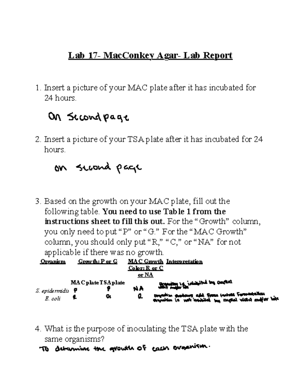 Lab 17- Mac Conkey Agar- Lab Report 2 - Insert a picture of your MAC ...