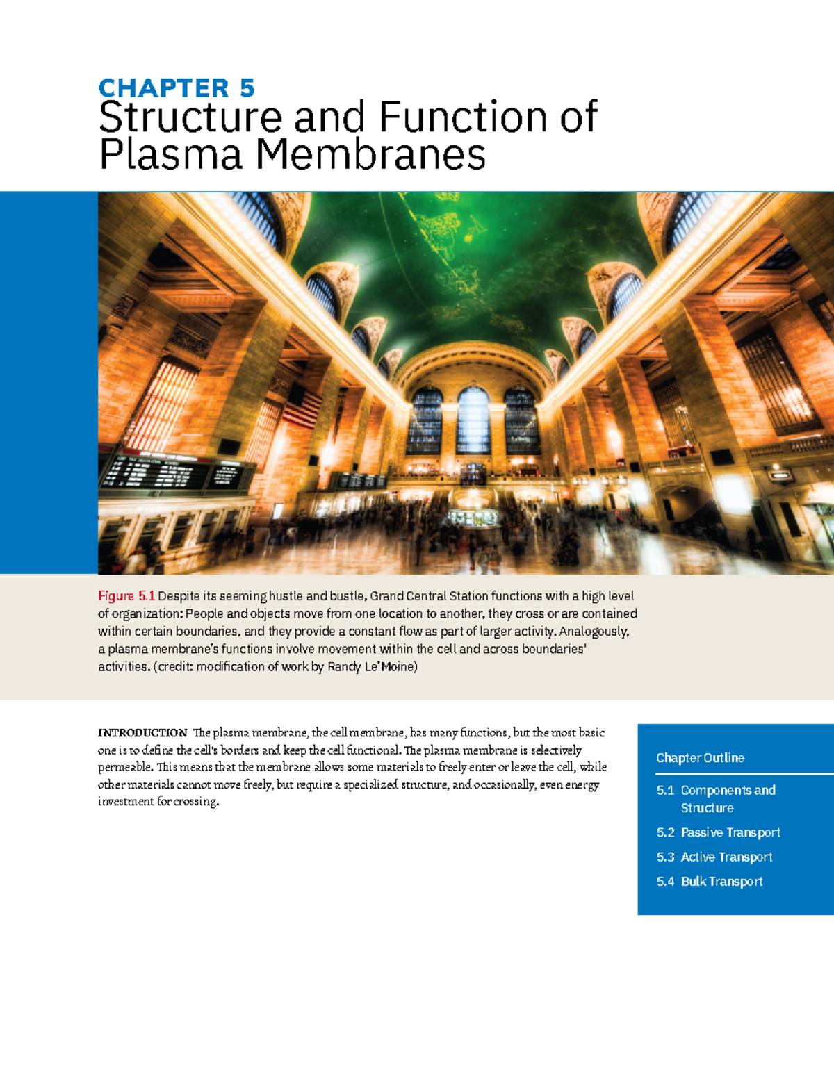 Chapter 5: Structure & Function of Plasma Membranes - Part 1 Overview ...