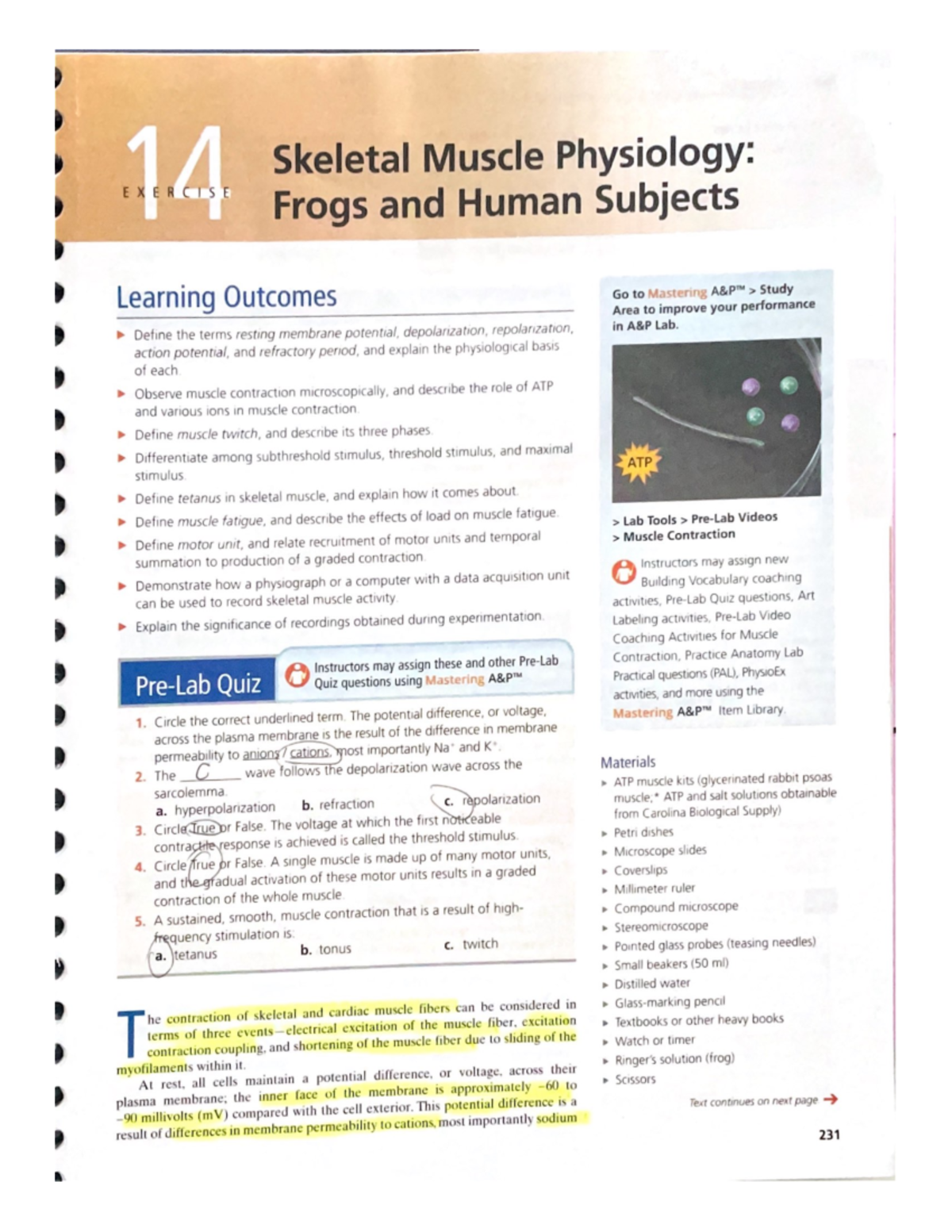 Ch 14, 31, 33 Labp1 - Skeletal Muscle Physiology Lab Notes - Studocu