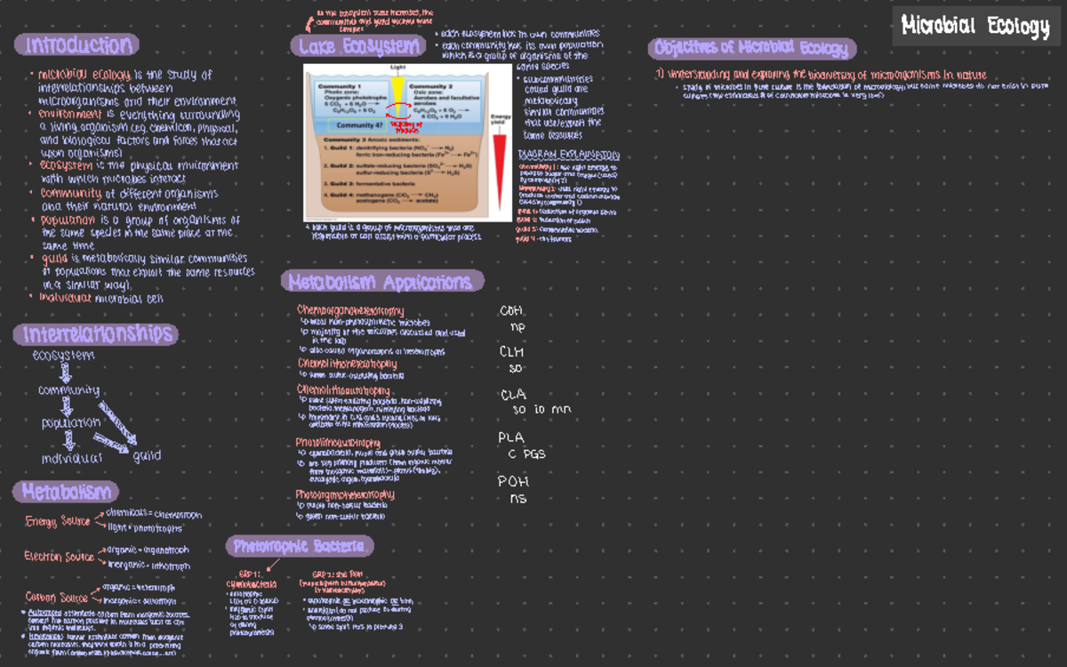 Mind Maps - Summary Microbiology - ####### as the ecosystem scale ...