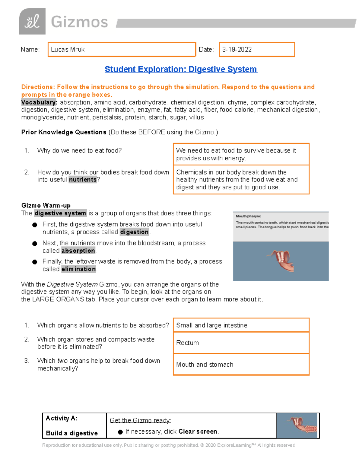 Copy of Digestive System Gizmo Student Exploration Sheet - Name: Lucas ...