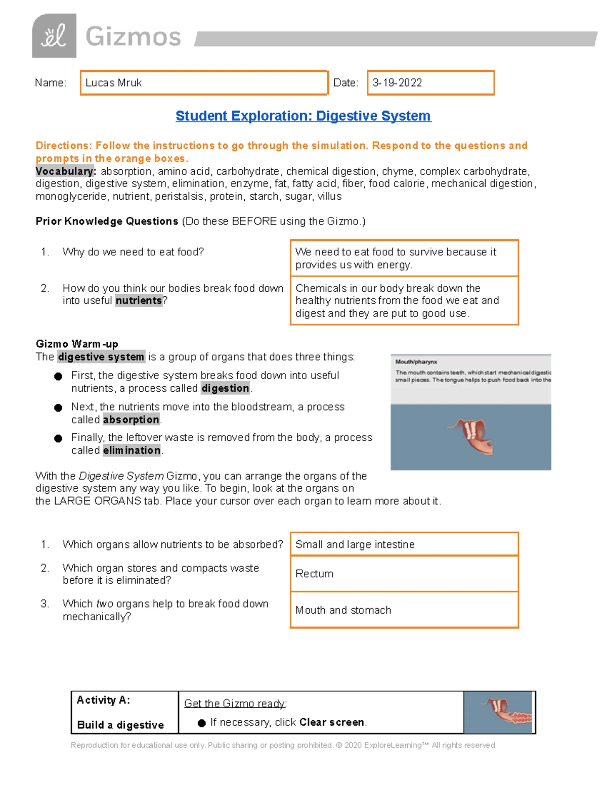 Copy of Digestive System Gizmo Student Exploration Sheet - Name: Lucas ...