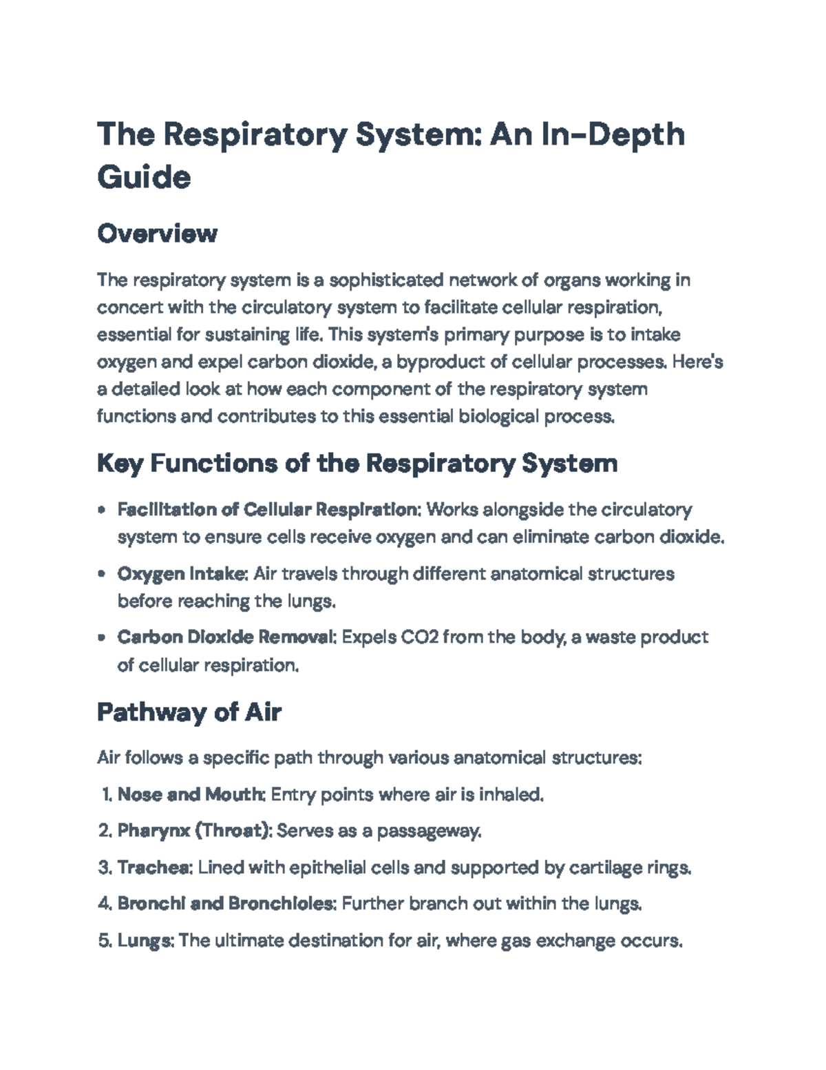 Respiratory System: In-Depth Analysis and Key Functions Guide - The ...