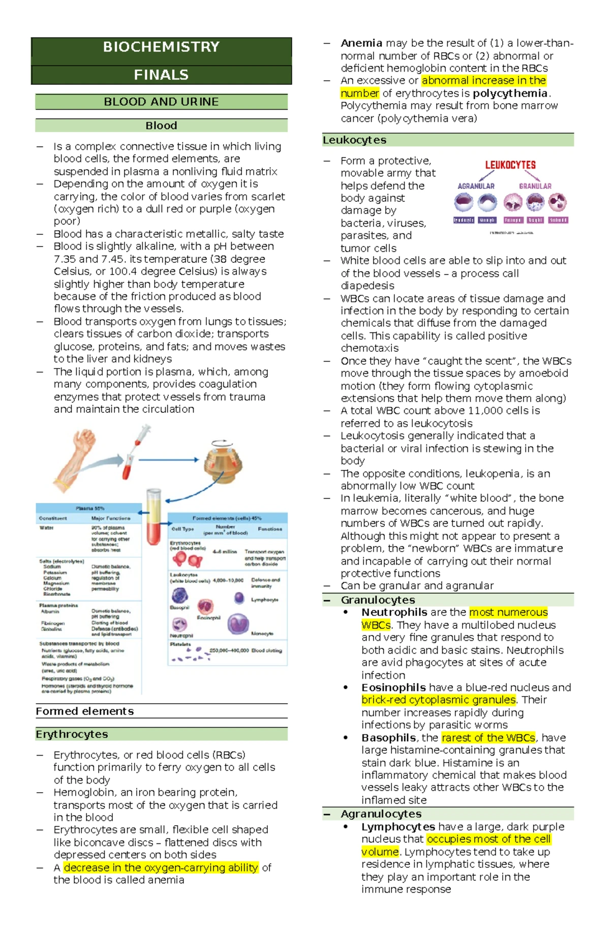 Carbohydrate Metabolism Notes - BIOCHEM 101 Midterm Study Guide - Studocu
