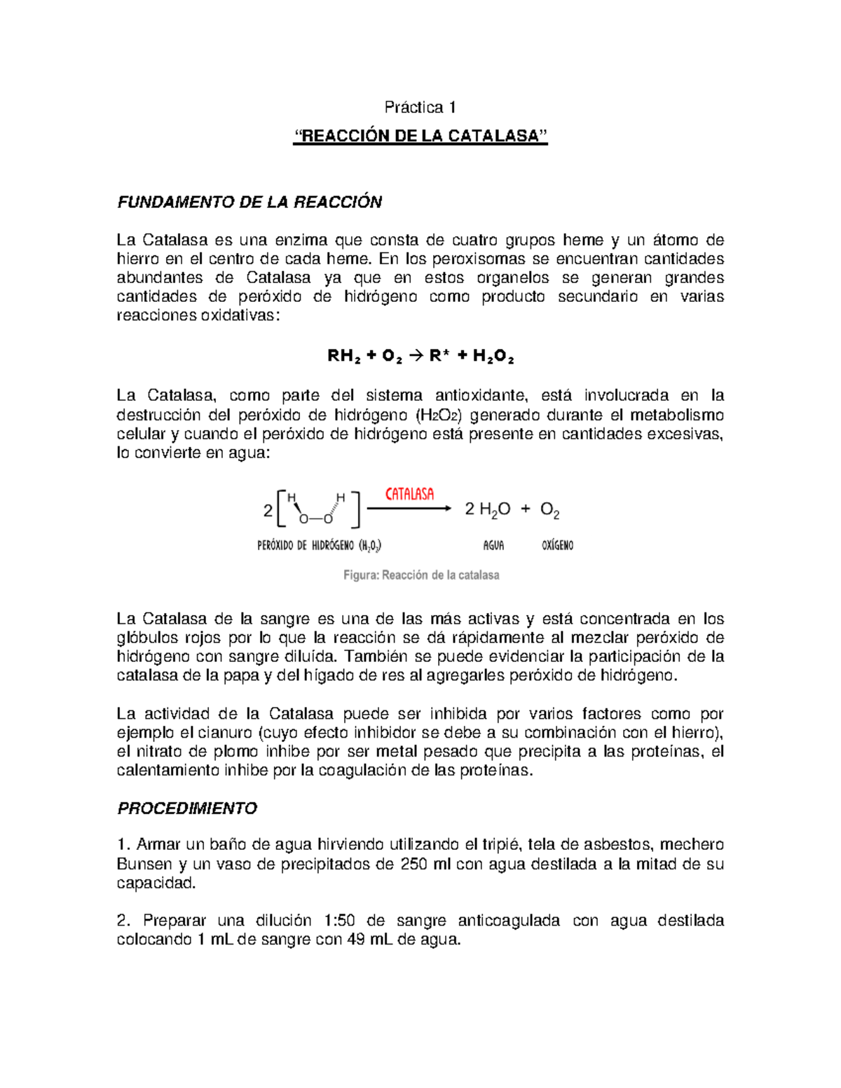 Práctica 1: Reacción de la Catalasa en Bioquímica General 2019-2 - Studocu