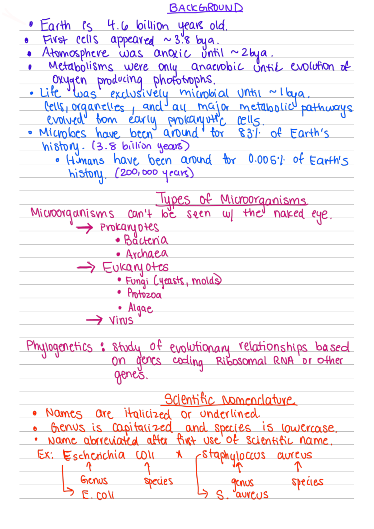 Microscopy Lecture Notes Key Concepts And Techniques Studocu