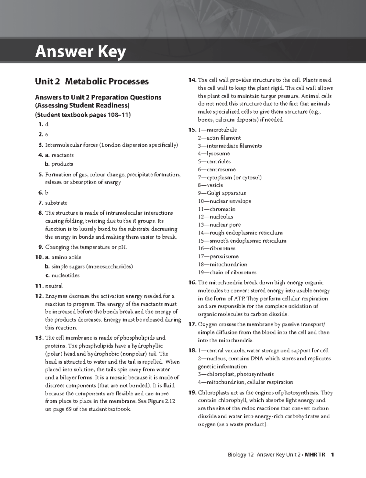 Biology 12 Answer Key: Unit 2 Metabolic Processes Revision - Studocu