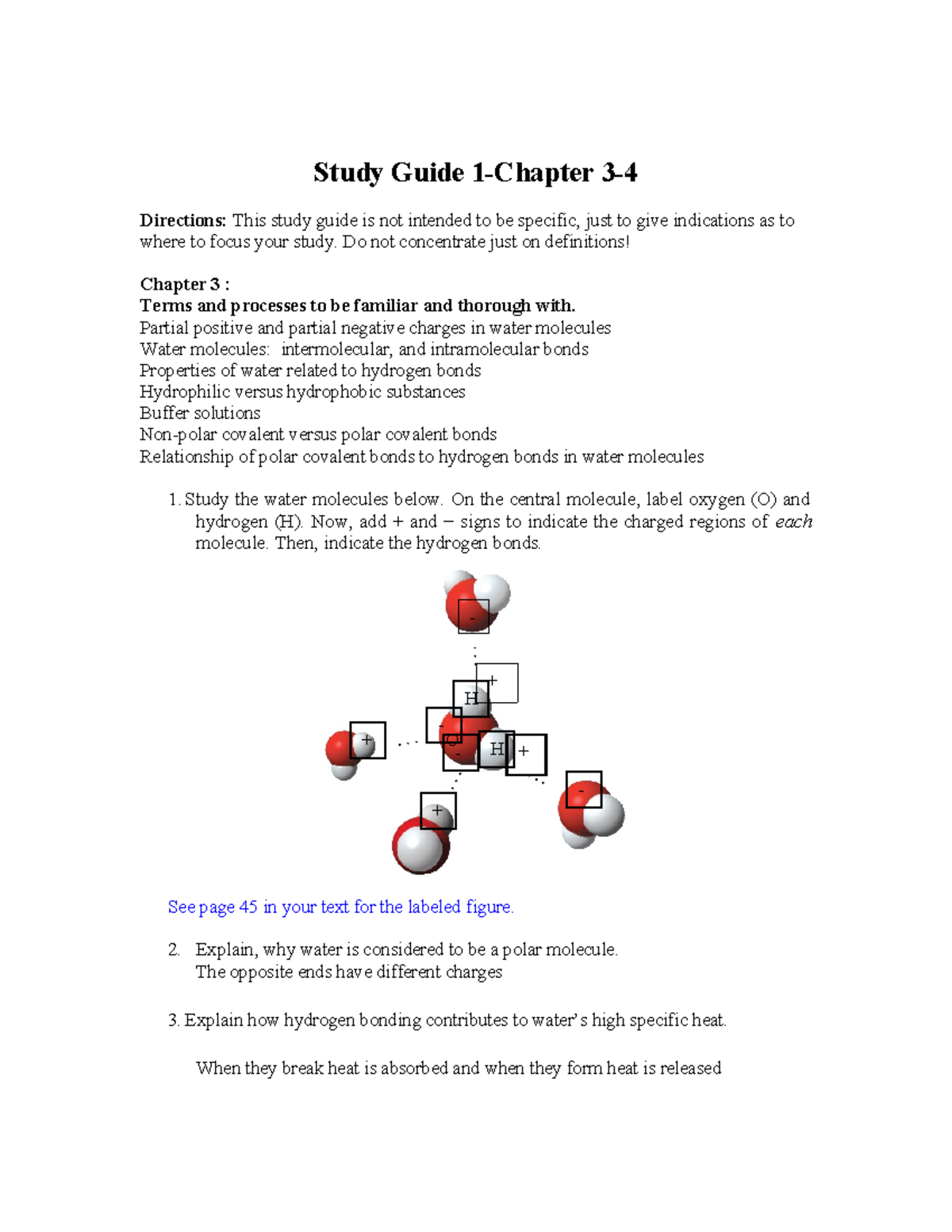 BIO 181 Study Guide: Chapter 3 - Water Properties and Bonds - Studocu