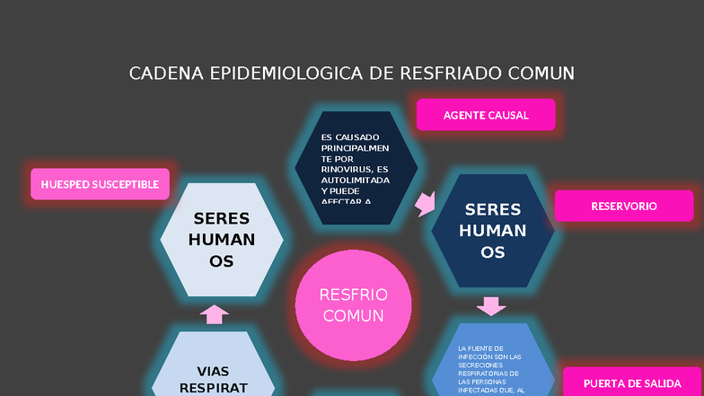 Cadena Epidemiológica del Resfriado Común: Agente Causal y Transmisión ...