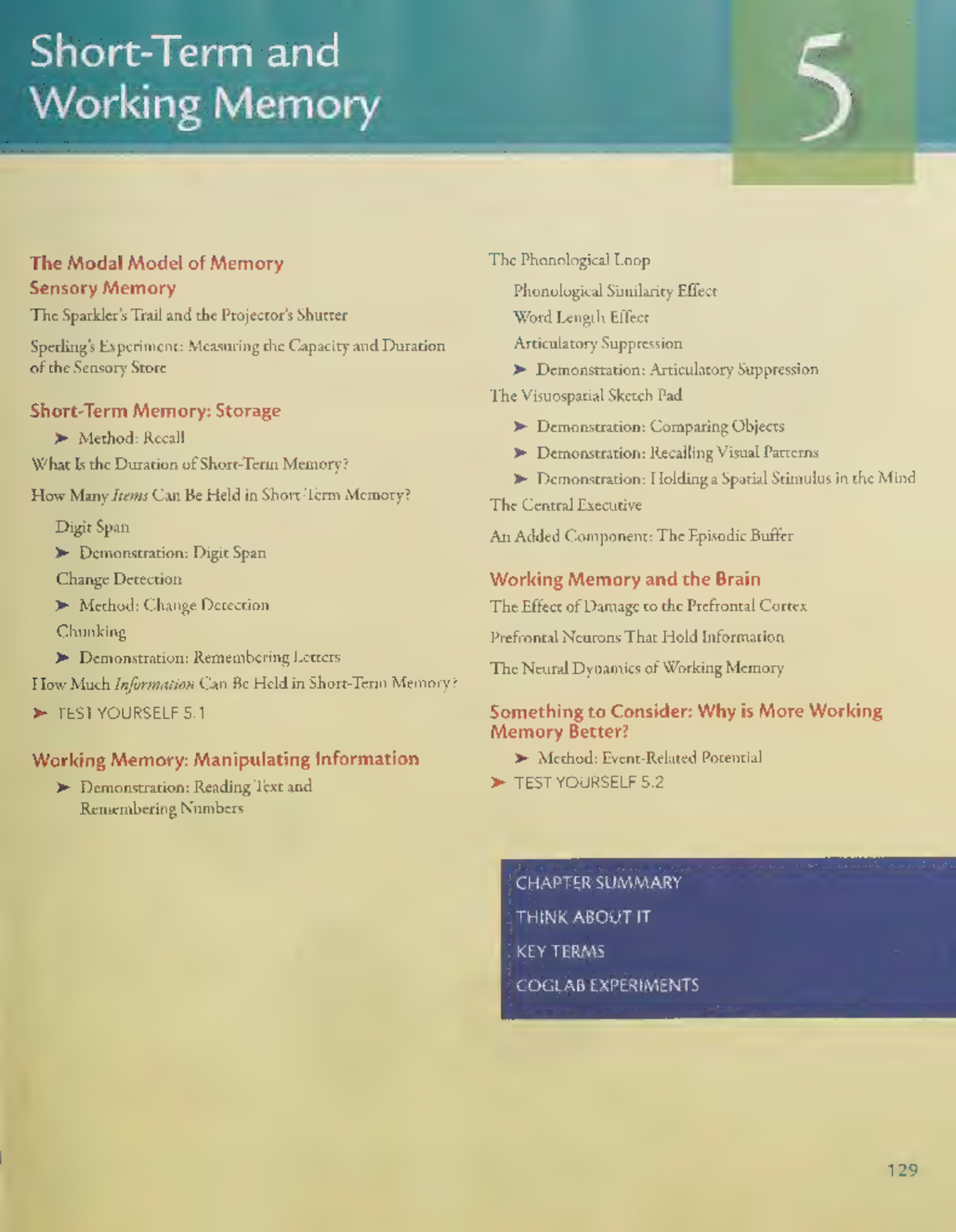 Cognitive Psychology (PSY 101) - Chapter 5: Working Memory Insights - Studocu