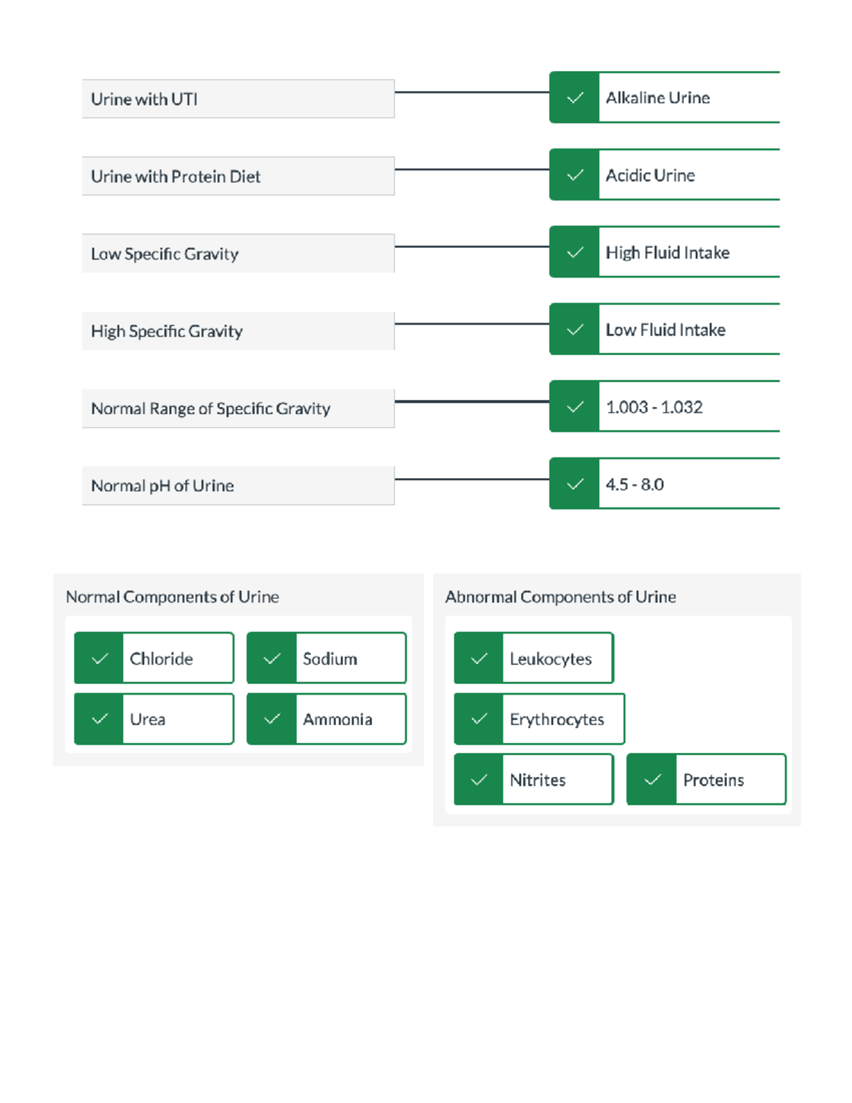 Lab-urinalysis worksheets - Urine with UTI Alkaline Urine Urine with ...